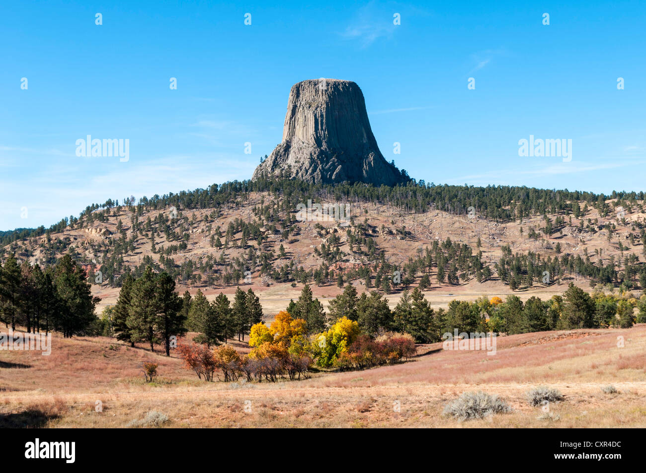 Devils tower wyoming hi-res stock photography and images - Alamy