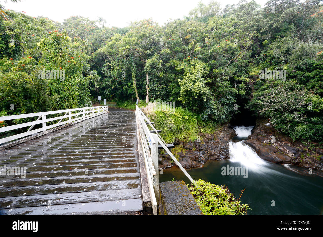 Bridge, waterfalls, Pepe'ekeo and Onomea Scenic Drive, Big Island ...