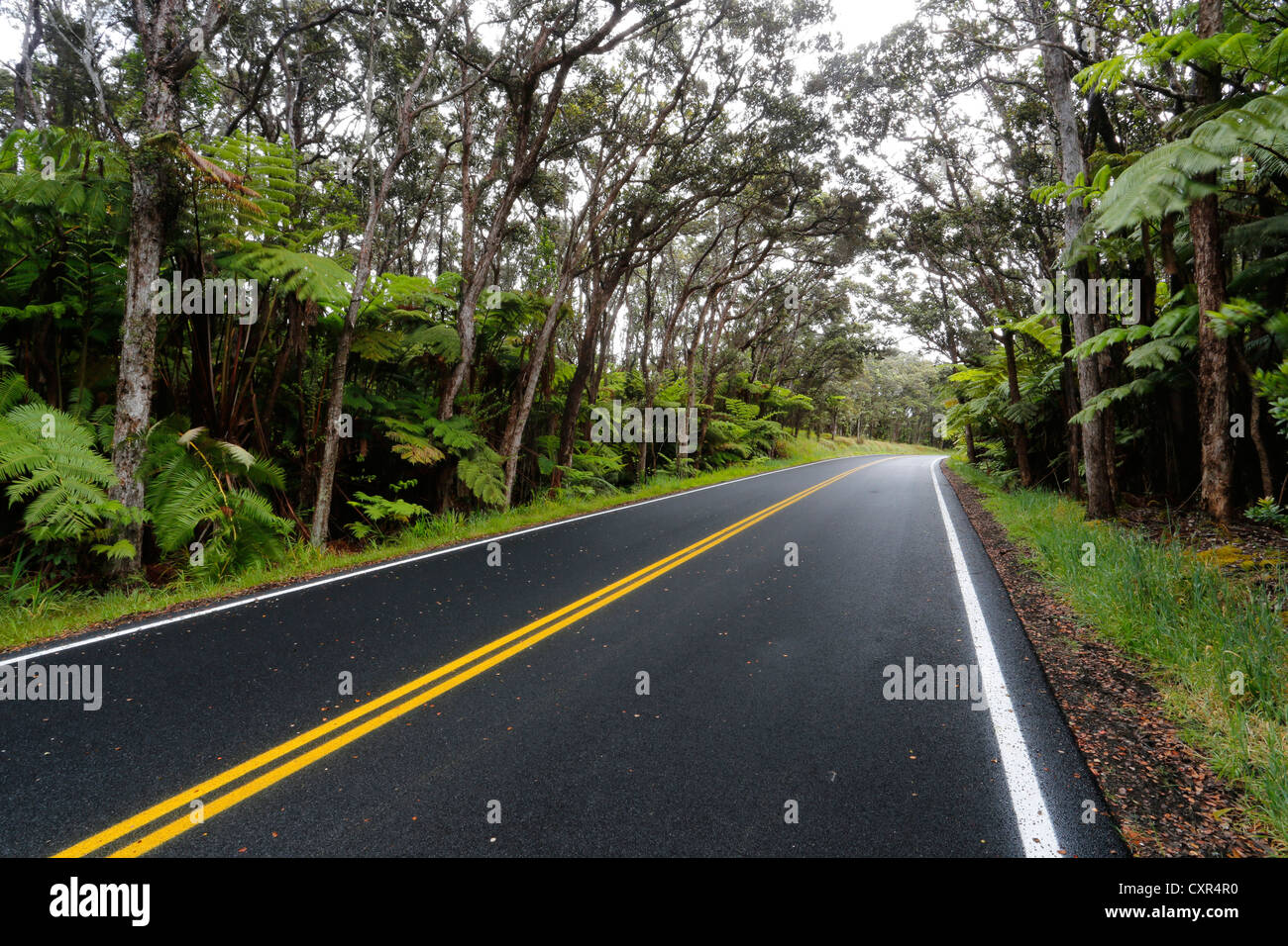 Roads and volcanoes hi-res stock photography and images - Alamy