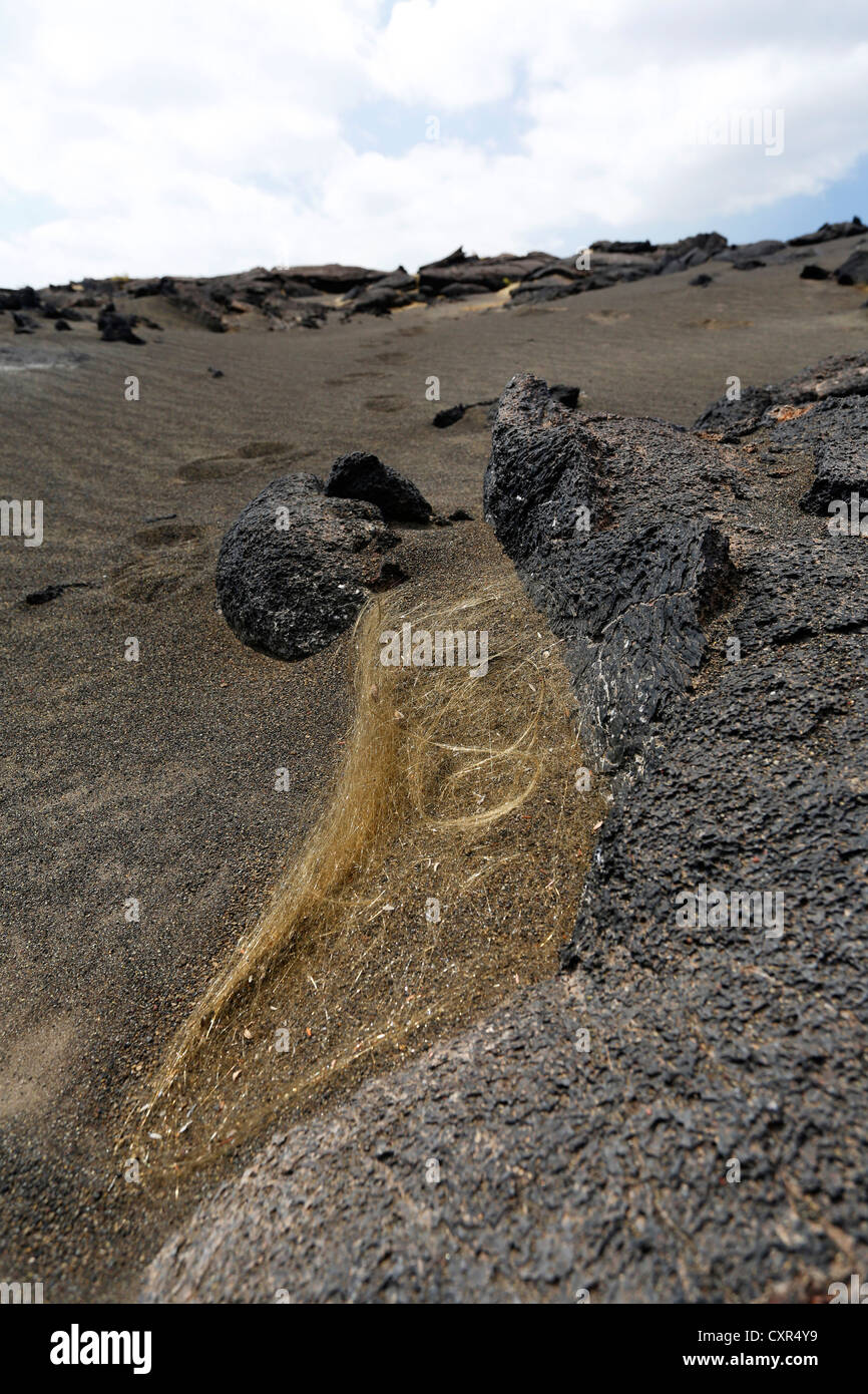 Pele's Hair, fine volcanic glass fiber deriving from the current ...