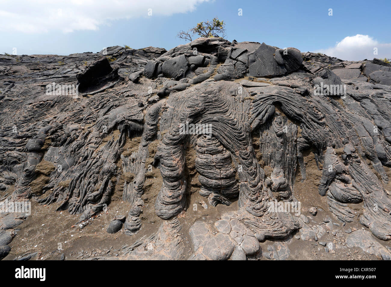 Kau desert hi-res stock photography and images - Alamy