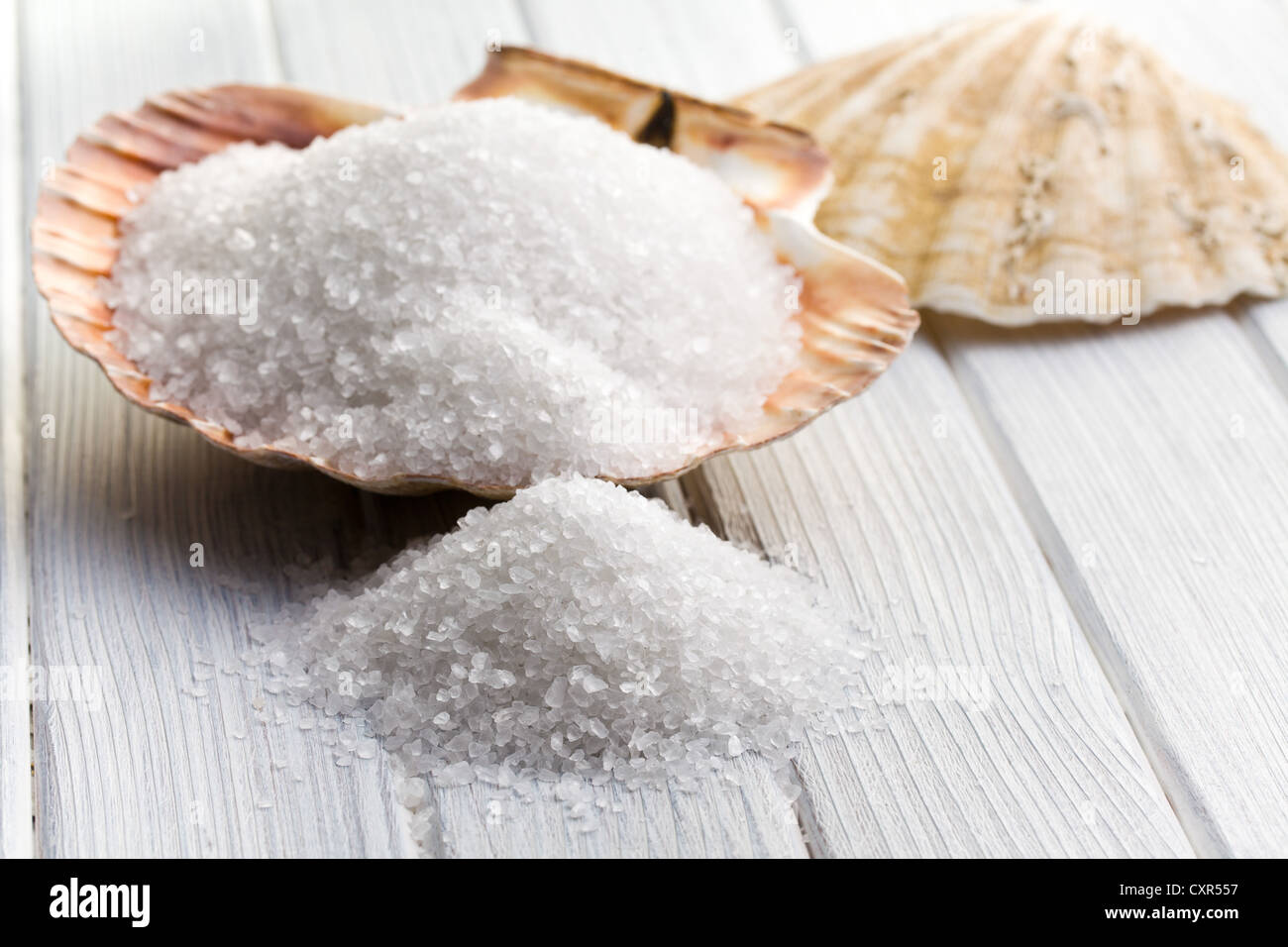 Seashell sea salt hi-res stock photography and images - Alamy