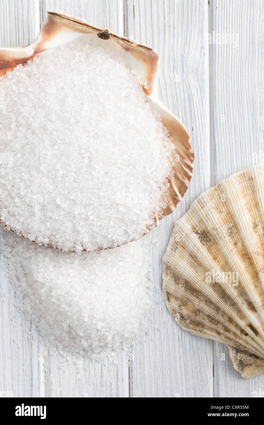 the white crystal salt in seashell Stock Photo - Alamy