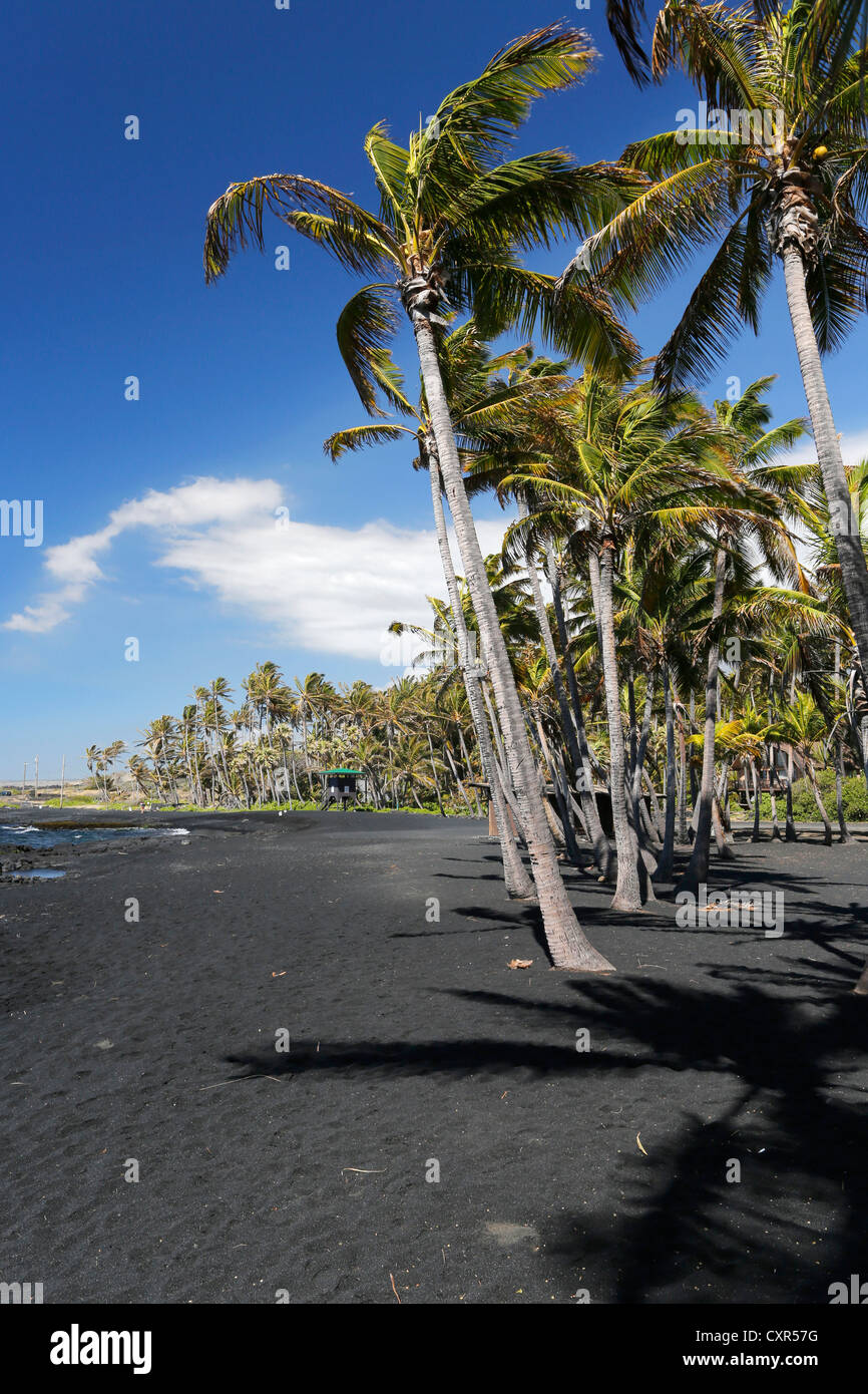 Punalu’u black sand beach hi-res stock photography and images - Alamy
