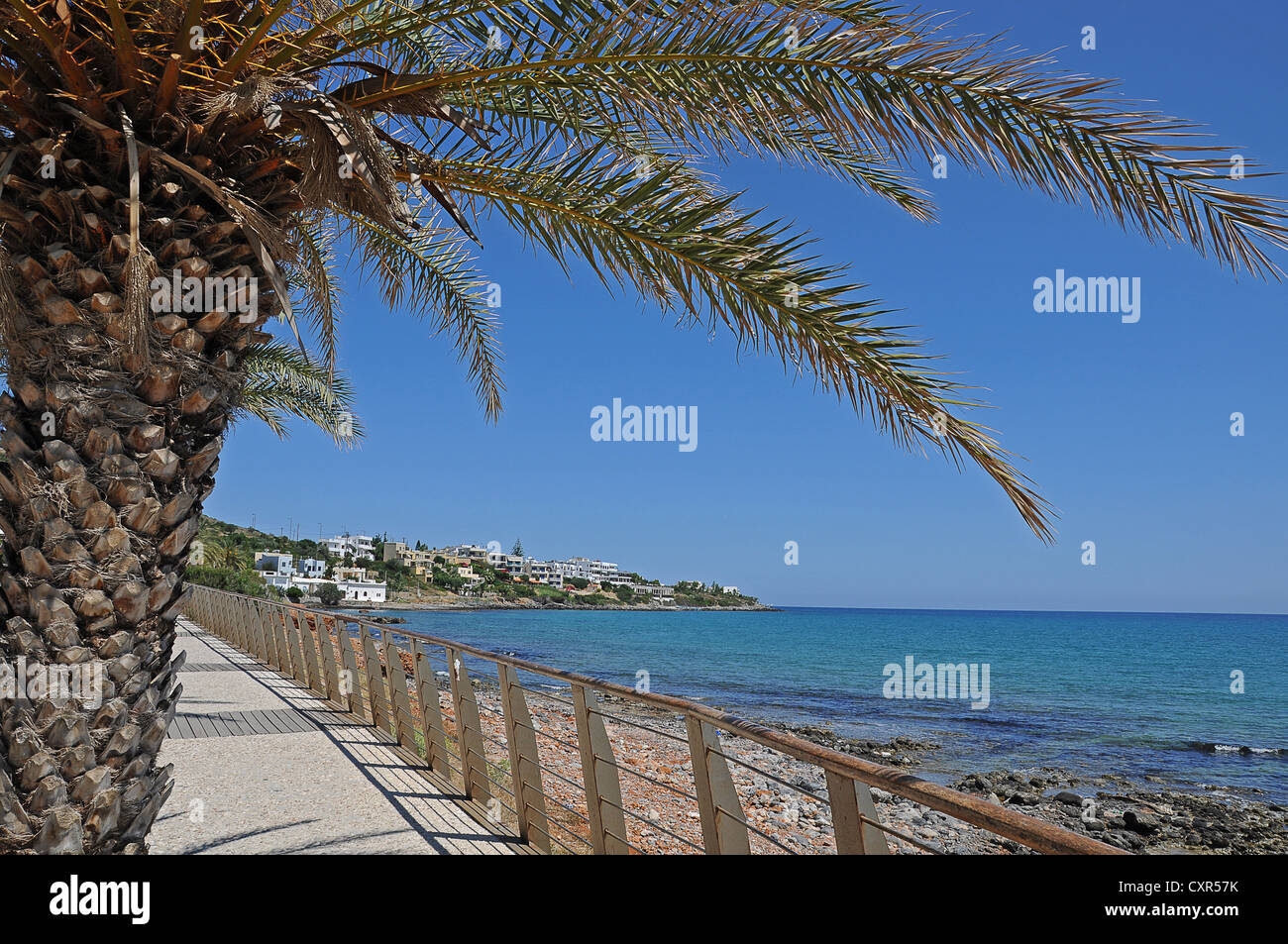 Tree promenade hi-res stock photography and images - Alamy