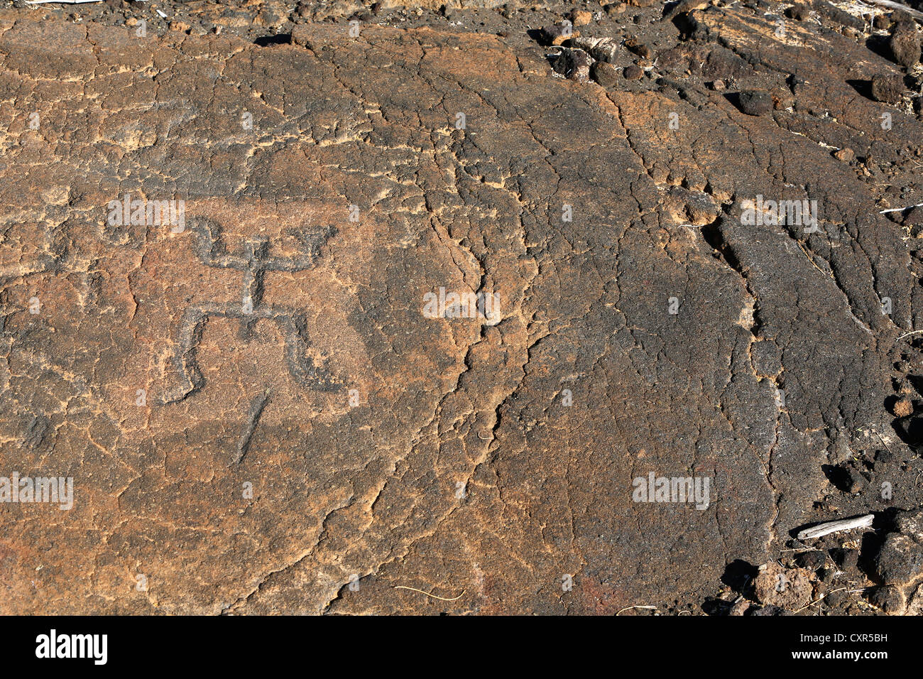 Puako Petroglyphs Archeological Park, West Coast of Big Island, Hawaii ...