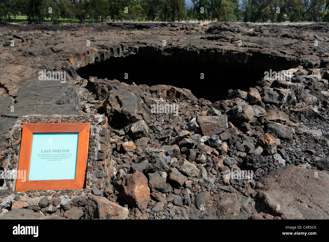 Rock carvings at Waikoloa, Big Island of Hawaii, USA Stock Photo - Alamy