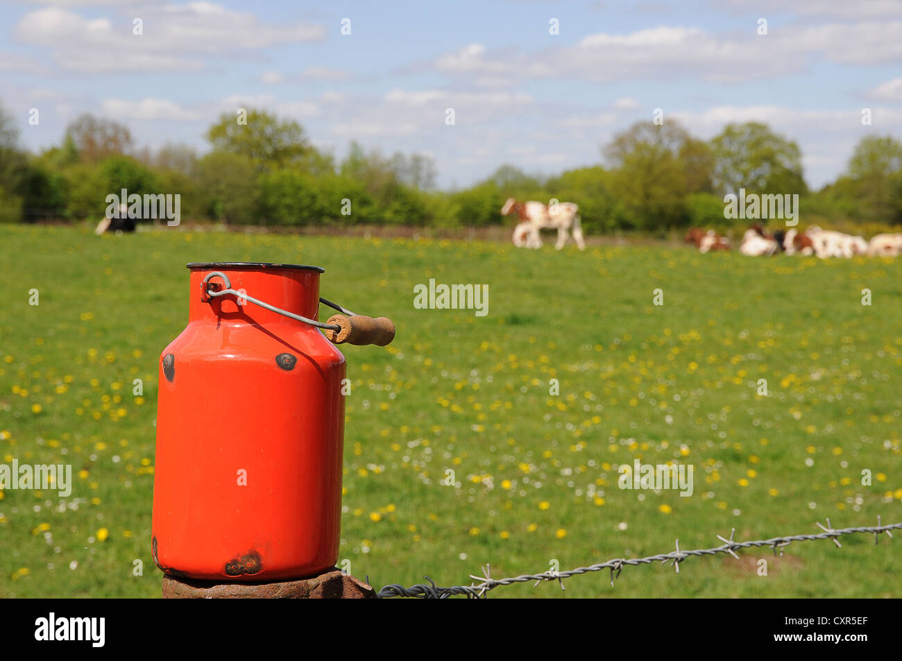 Dairy pots hi-res stock photography and images - Alamy
