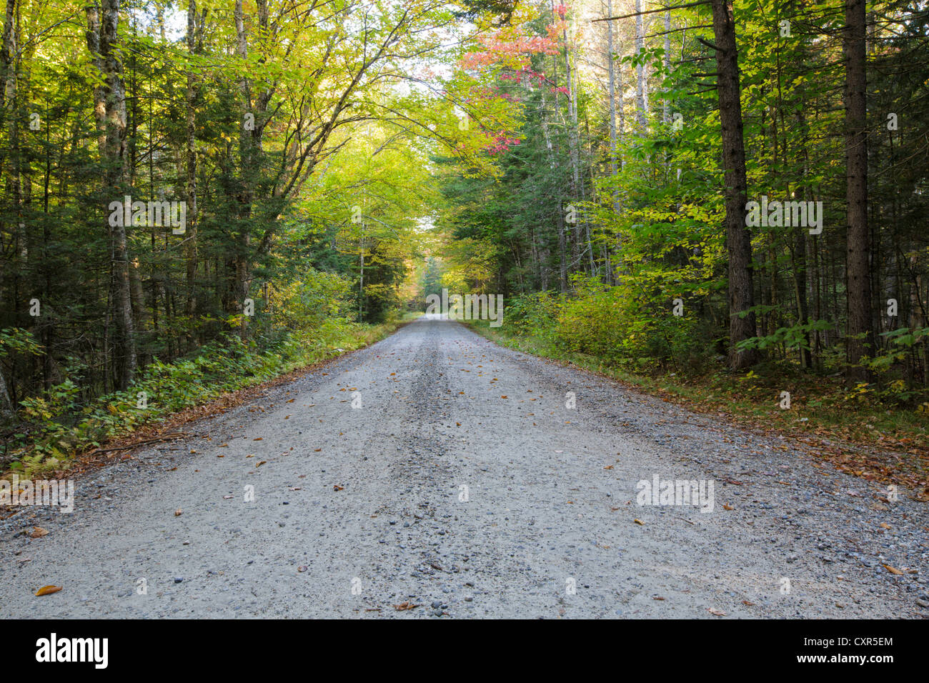Gale river loop road hi-res stock photography and images - Alamy