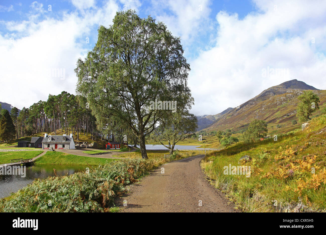 Looking towards Affric Lodge on Loch Affric Glen Affric Scottish ...