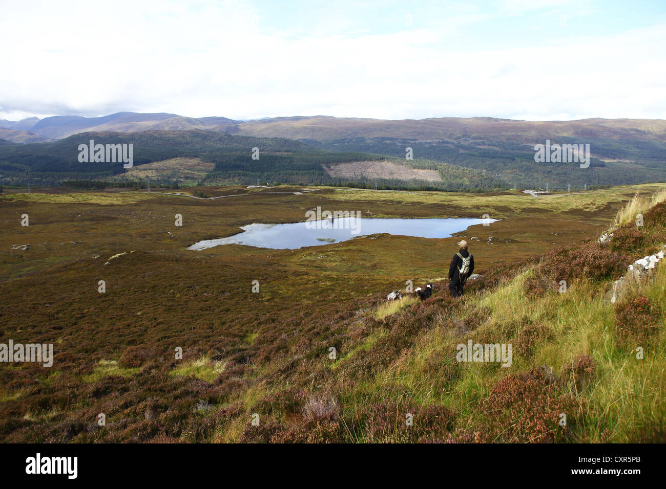 Guisachan hi-res stock photography and images - Alamy