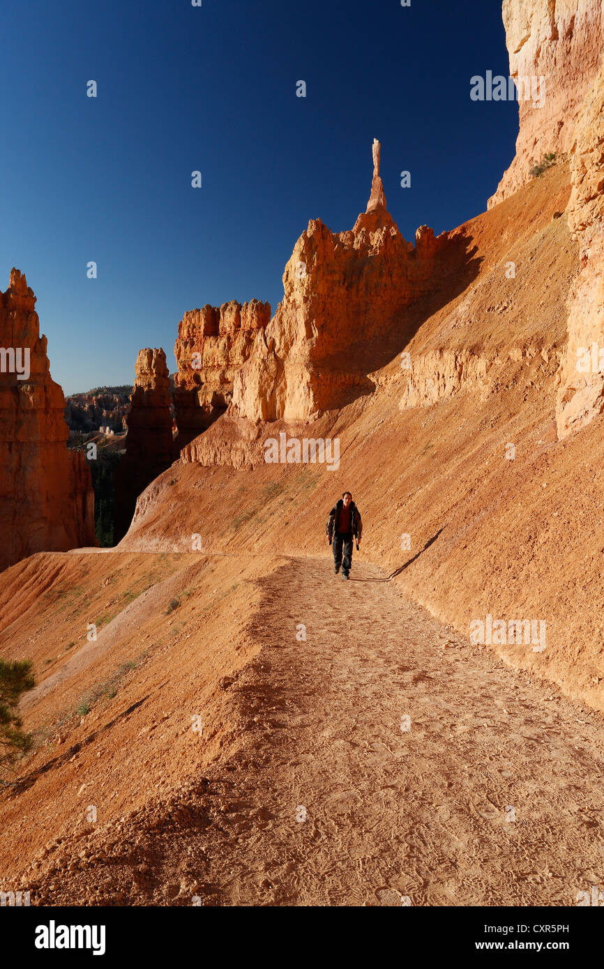 Hiker on the Navajo Loop Trail in Bryce Canyon National Park, Utah, USA ...