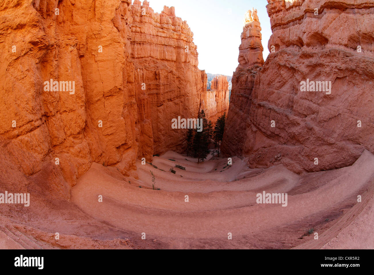 Switchbacks along the Navajo Trail, Bryce Canyon National Park, Utah ...
