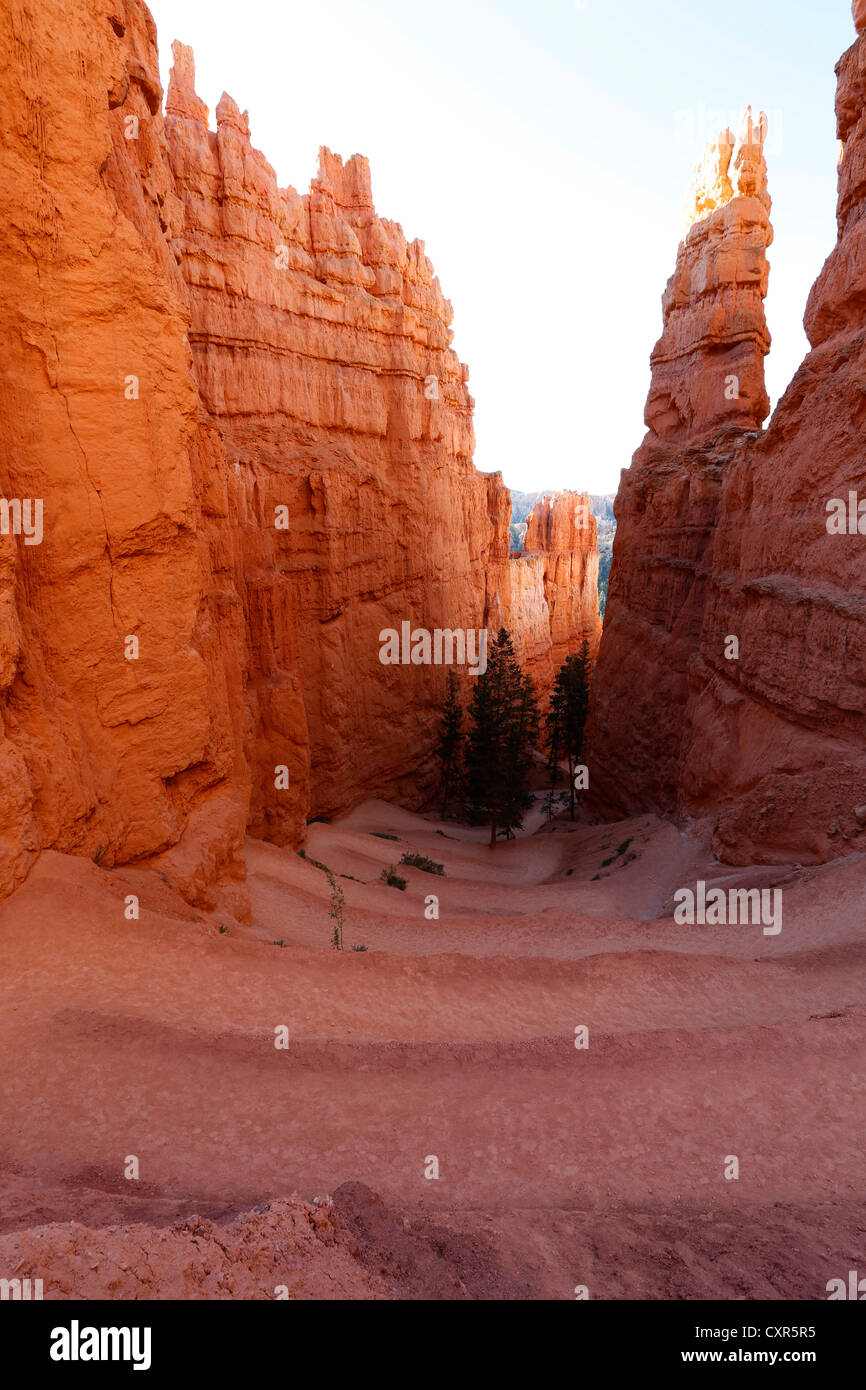 Switchbacks along the Navajo Trail, Bryce Canyon National Park, Utah ...