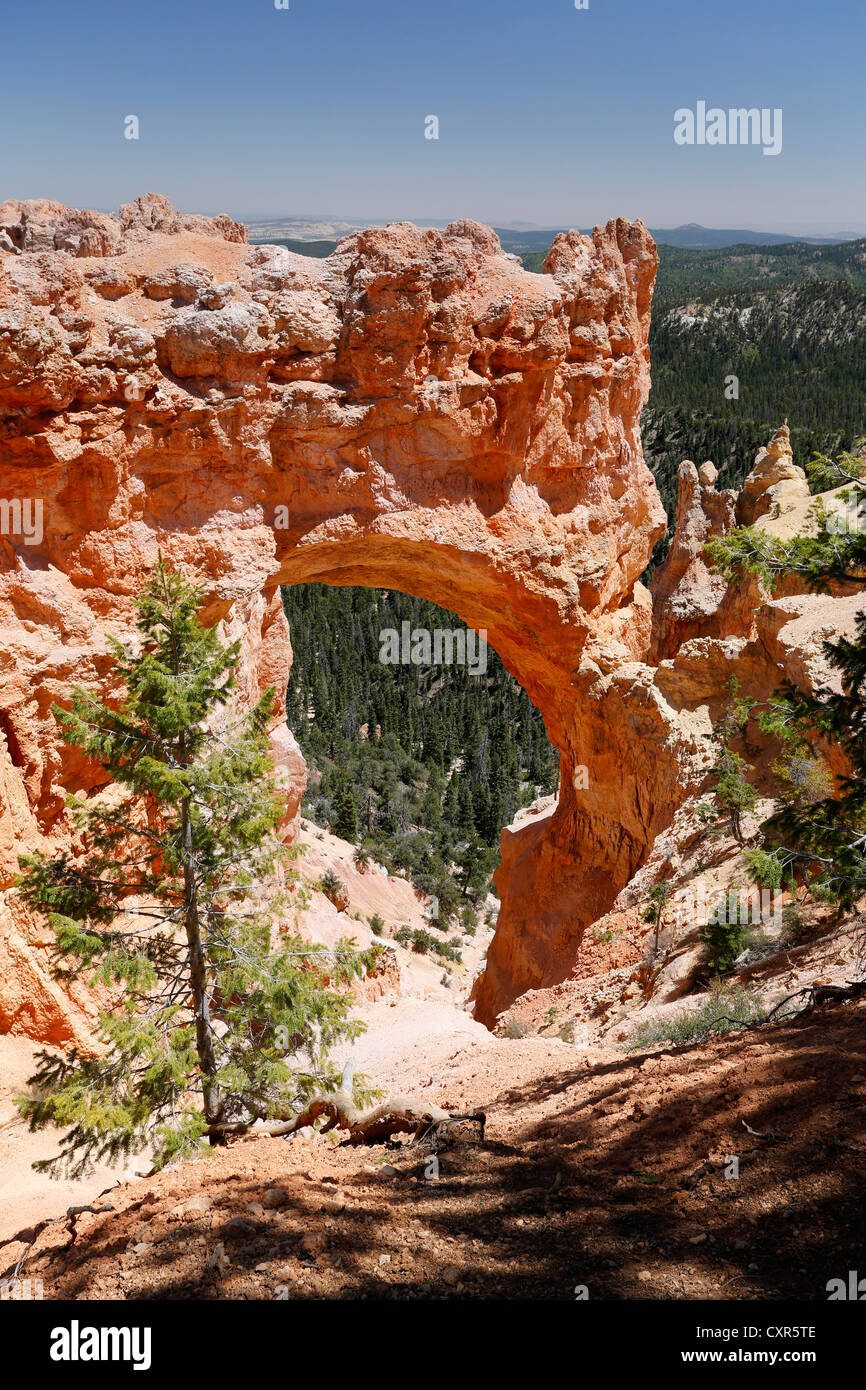 Natural Bridge Arch at the Clarion depositional sequence of red ...