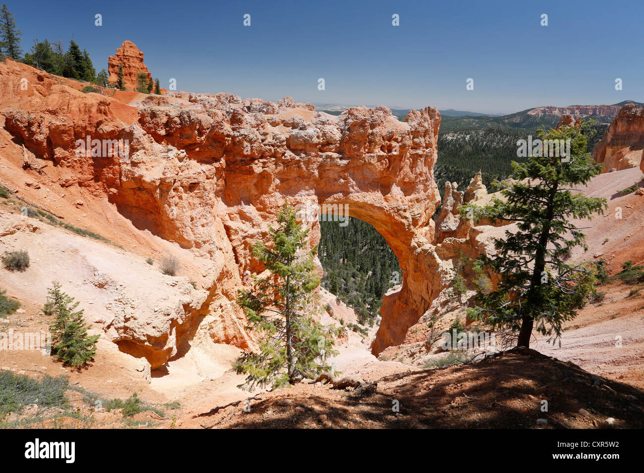 Natural Bridge Arch at the Clarion depositional sequence of red ...