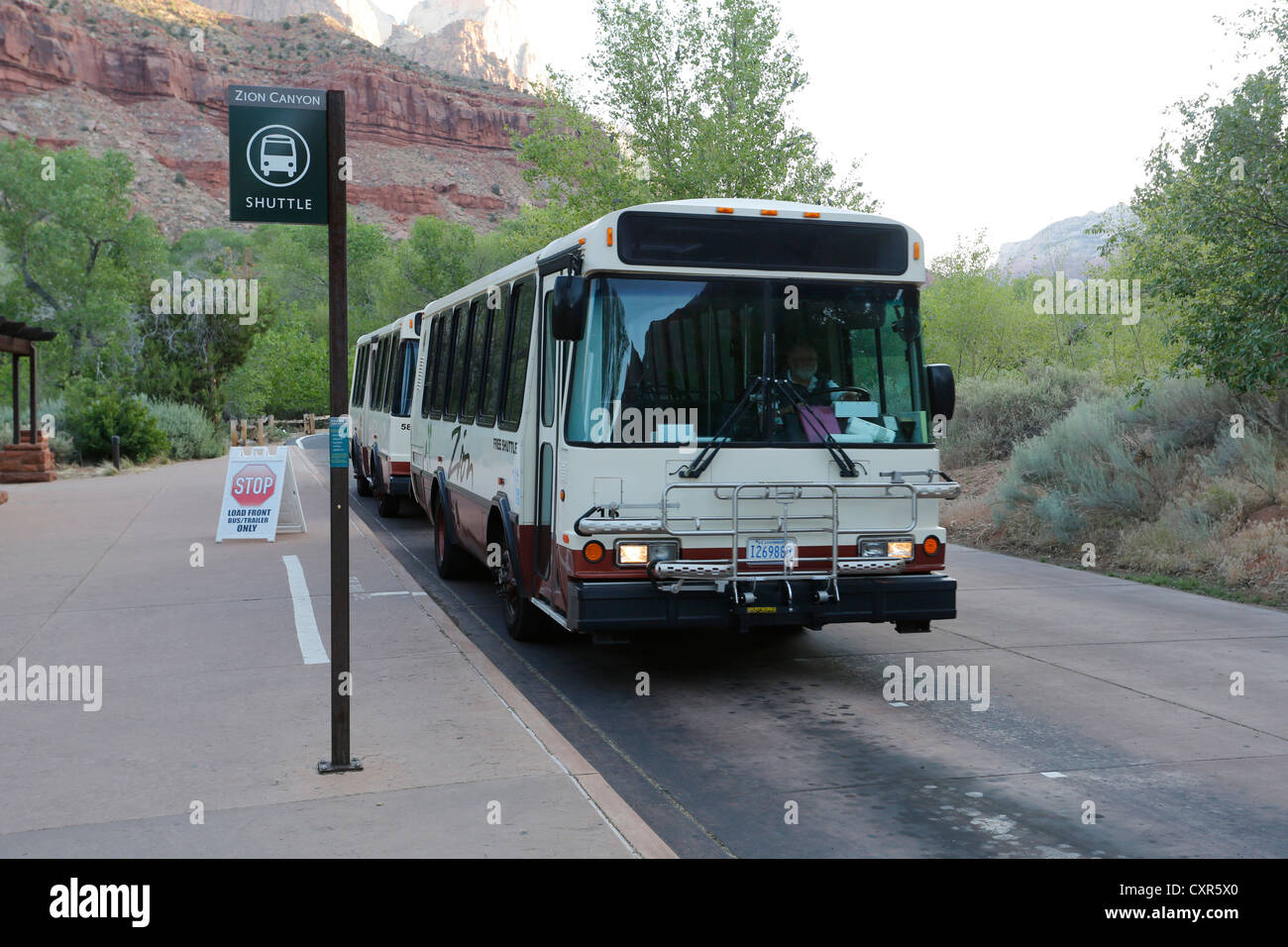 Shuttle bus in Zion Canyon, Zion National Park, Utah, USA Stock Photo ...