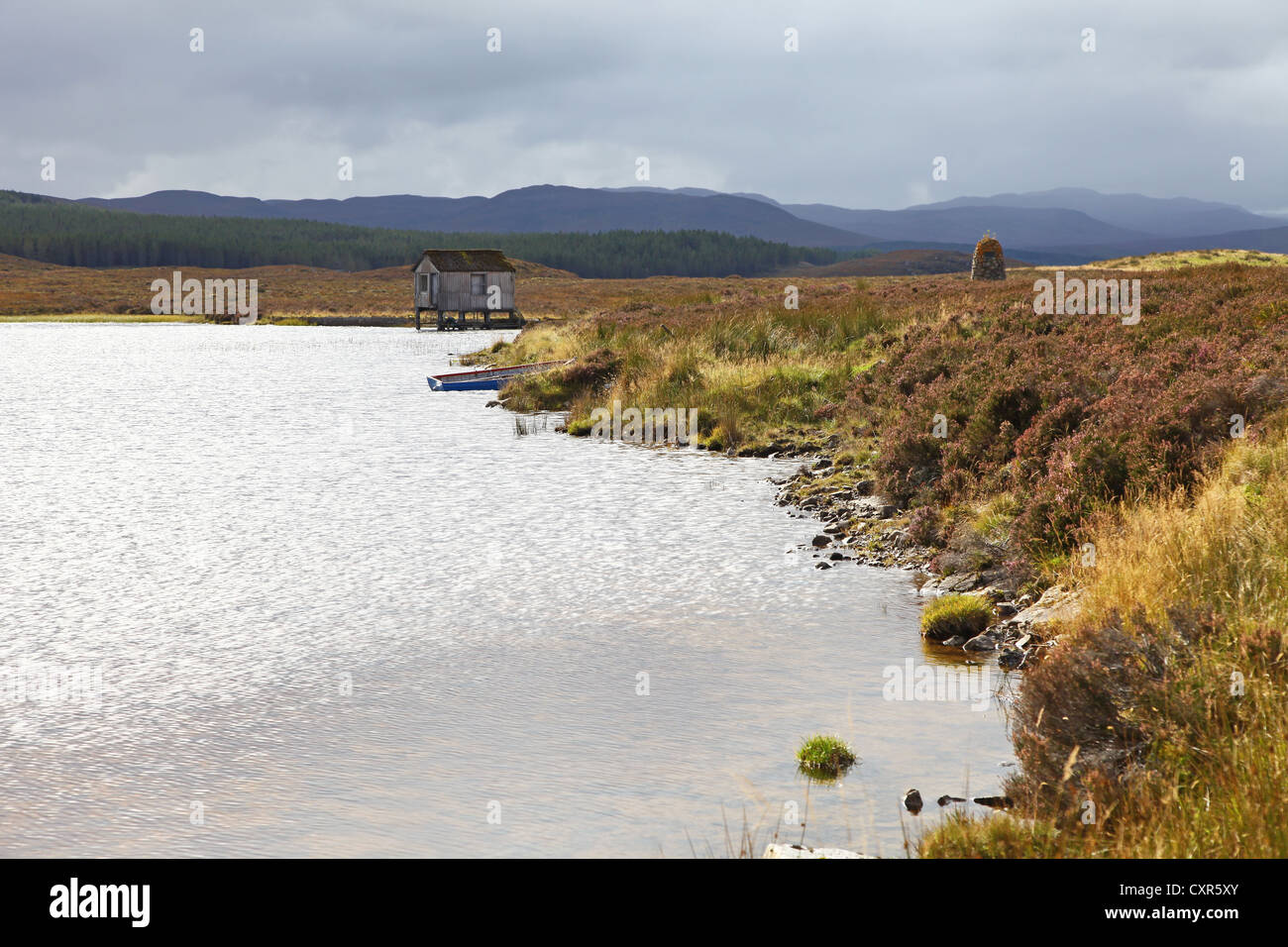 Guisachan hi-res stock photography and images - Alamy