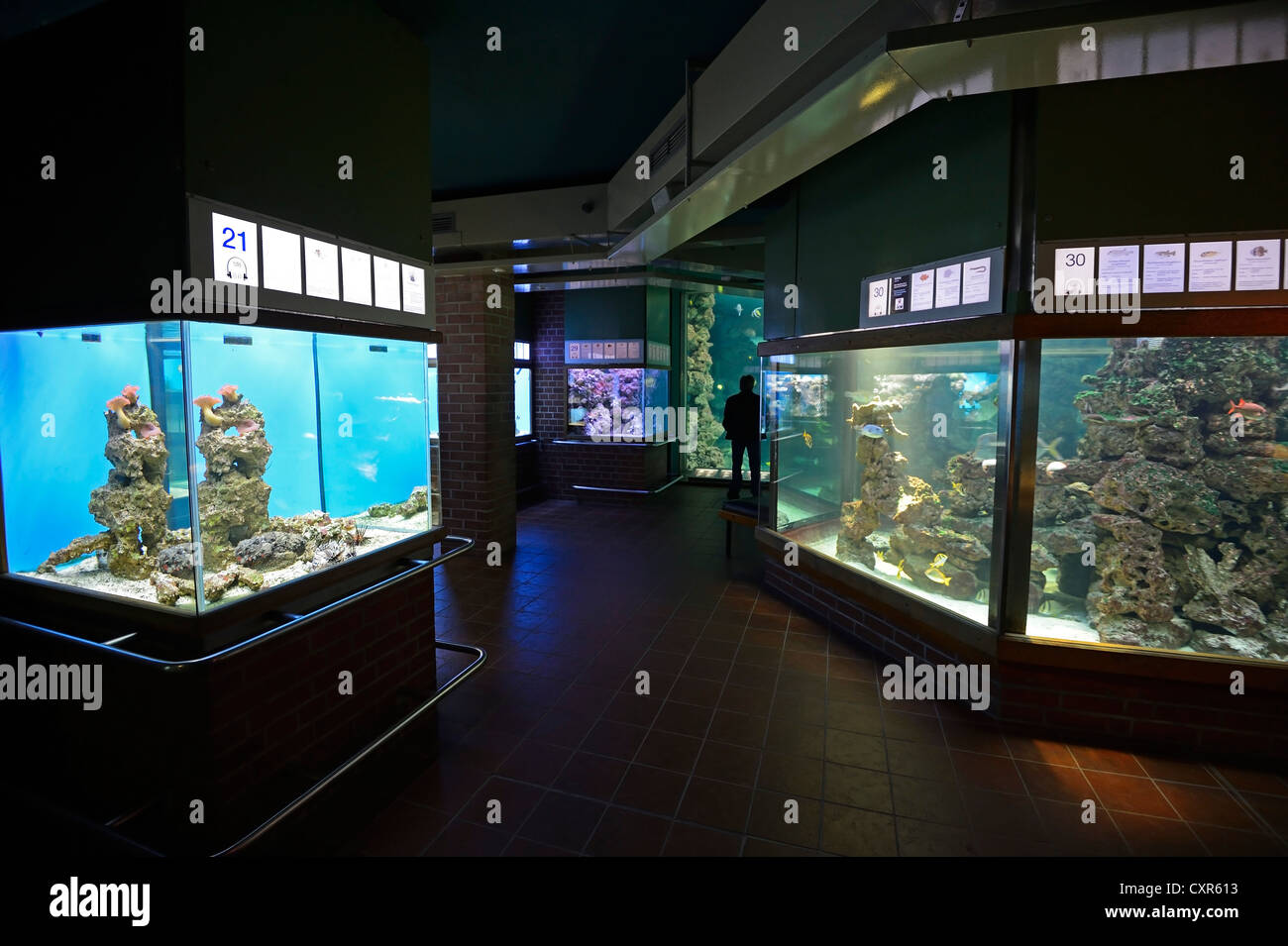 Oceanographic museum and aquarium hi-res stock photography and images ...