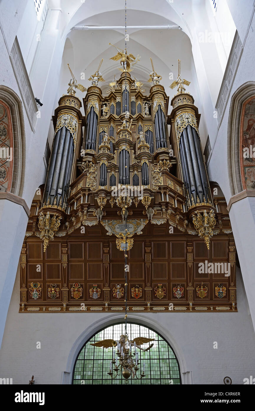 Stellwagen hi-res stock photography and images - Alamy