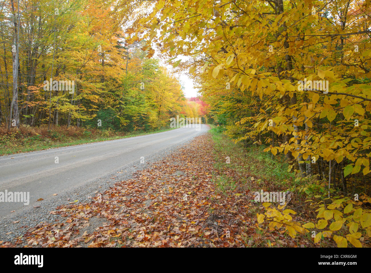 Northeast Kingdom - Granby Road in Granby, Vermont during the autumn ...