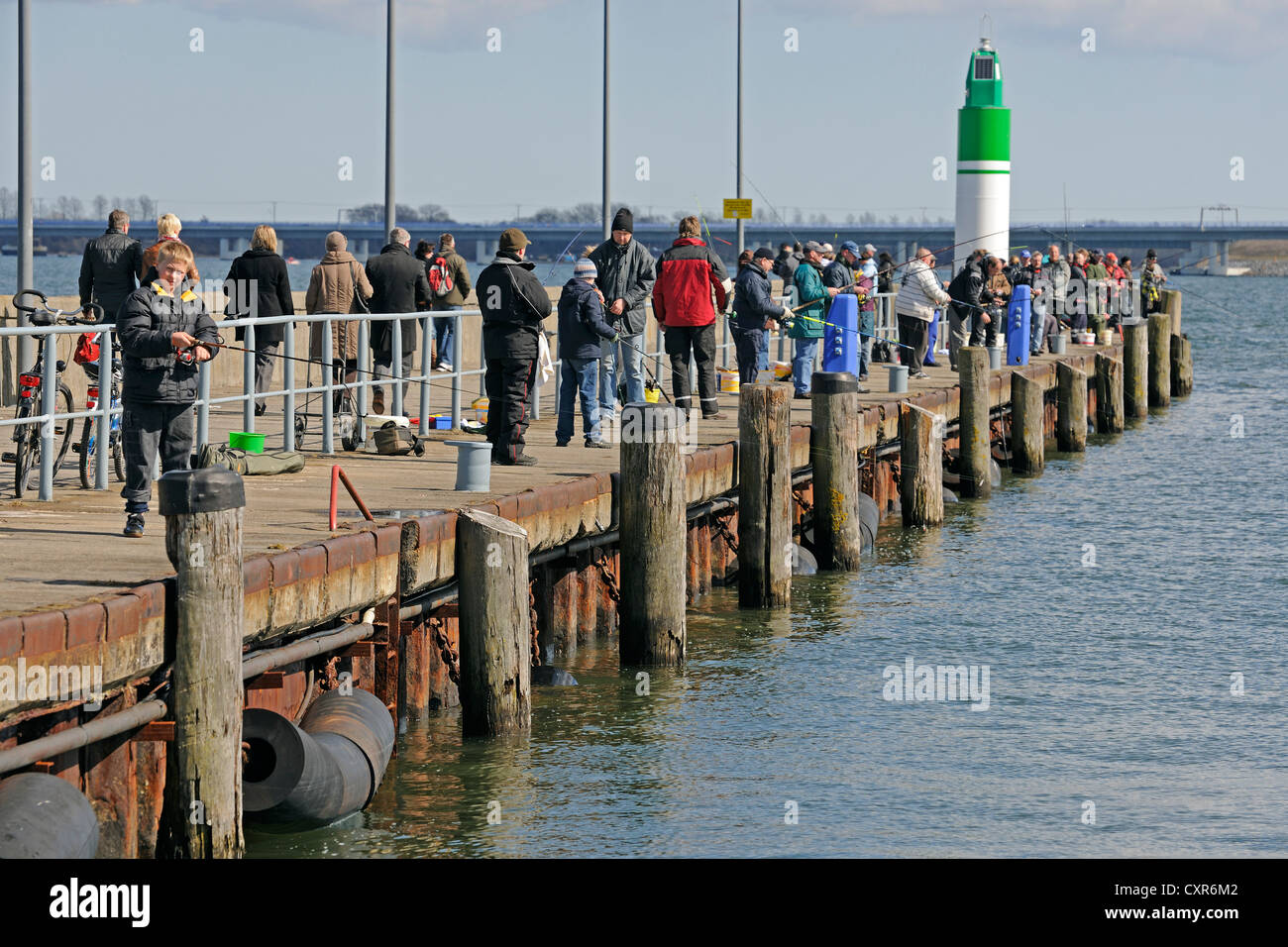 Anglers on the pier fishing for herring in the historic port of ...