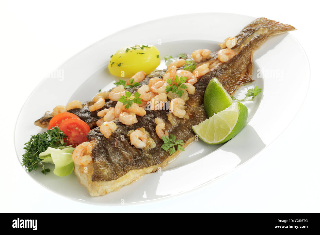 Buesum style plaice with shrimps, boiled potatoes and limes Stock Photo ...