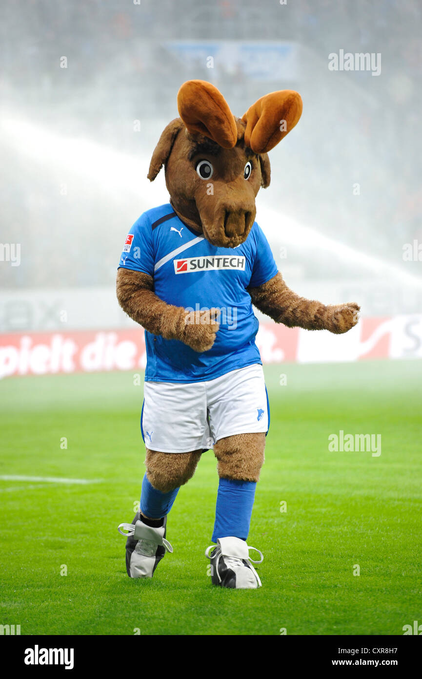 Hoffi hi-res stock photography and images - Alamy