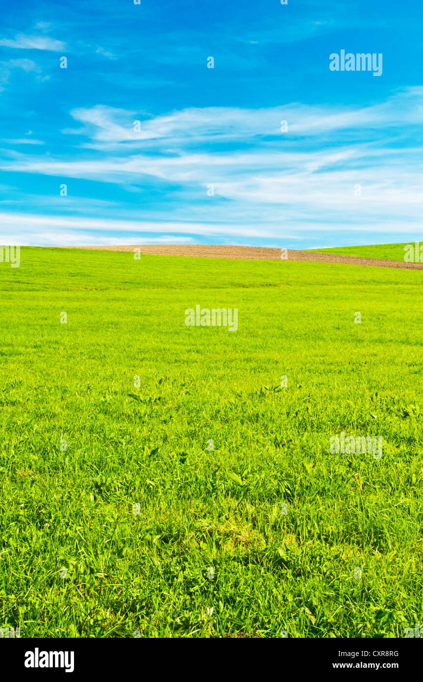 Green Sky Clouds