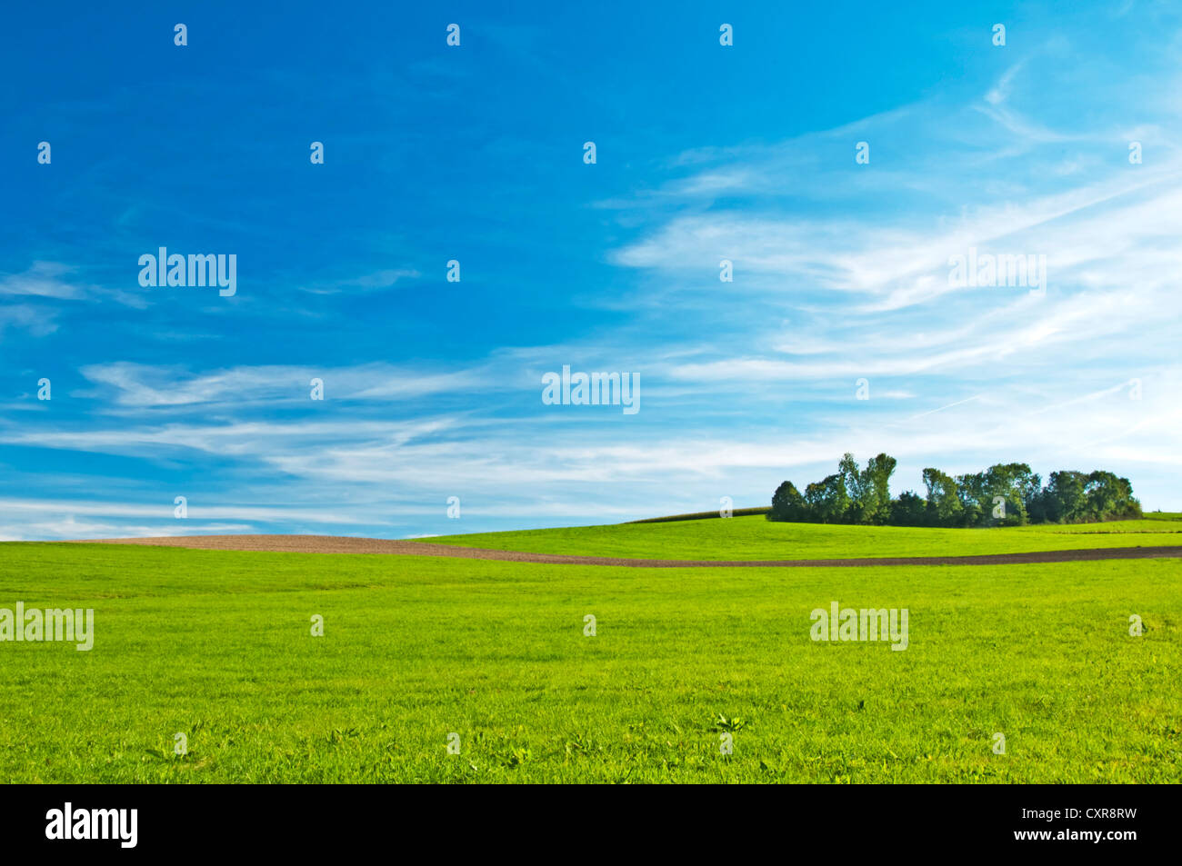 green with small hills Stock Photo - Alamy