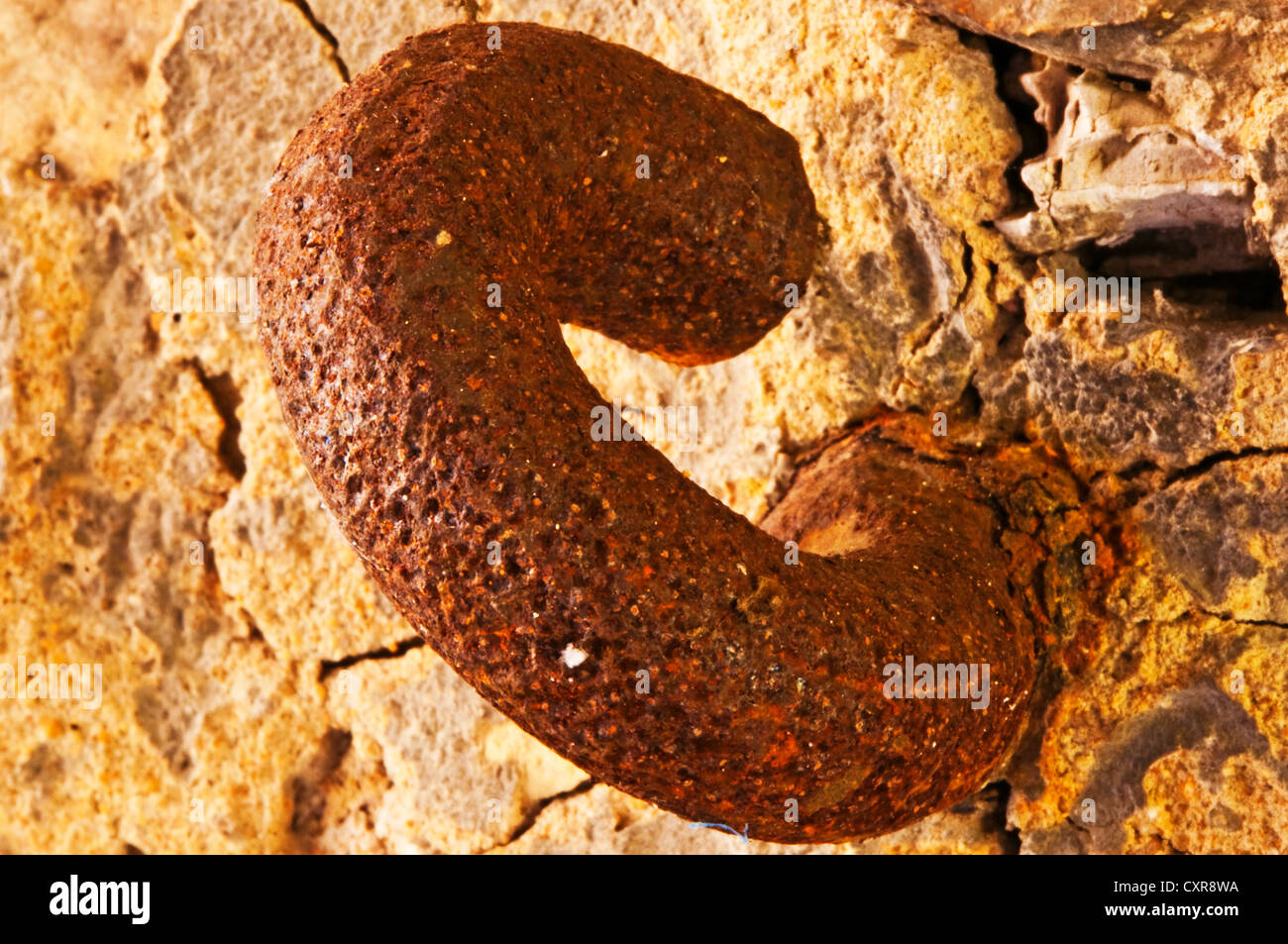 old, rusty hook Stock Photo - Alamy