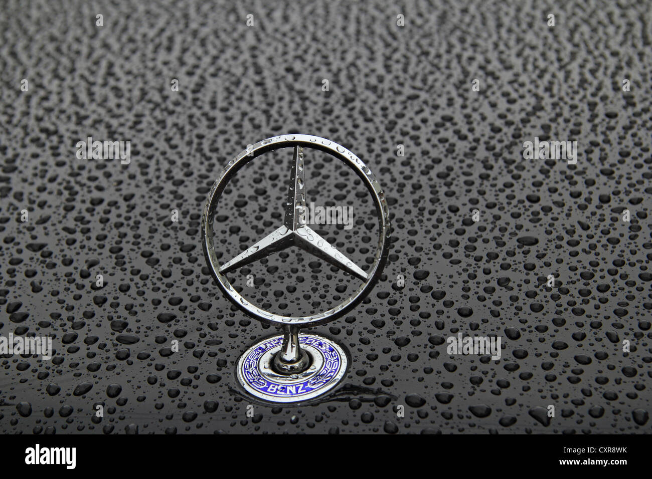 Rain covered logo hi-res stock photography and images - Alamy