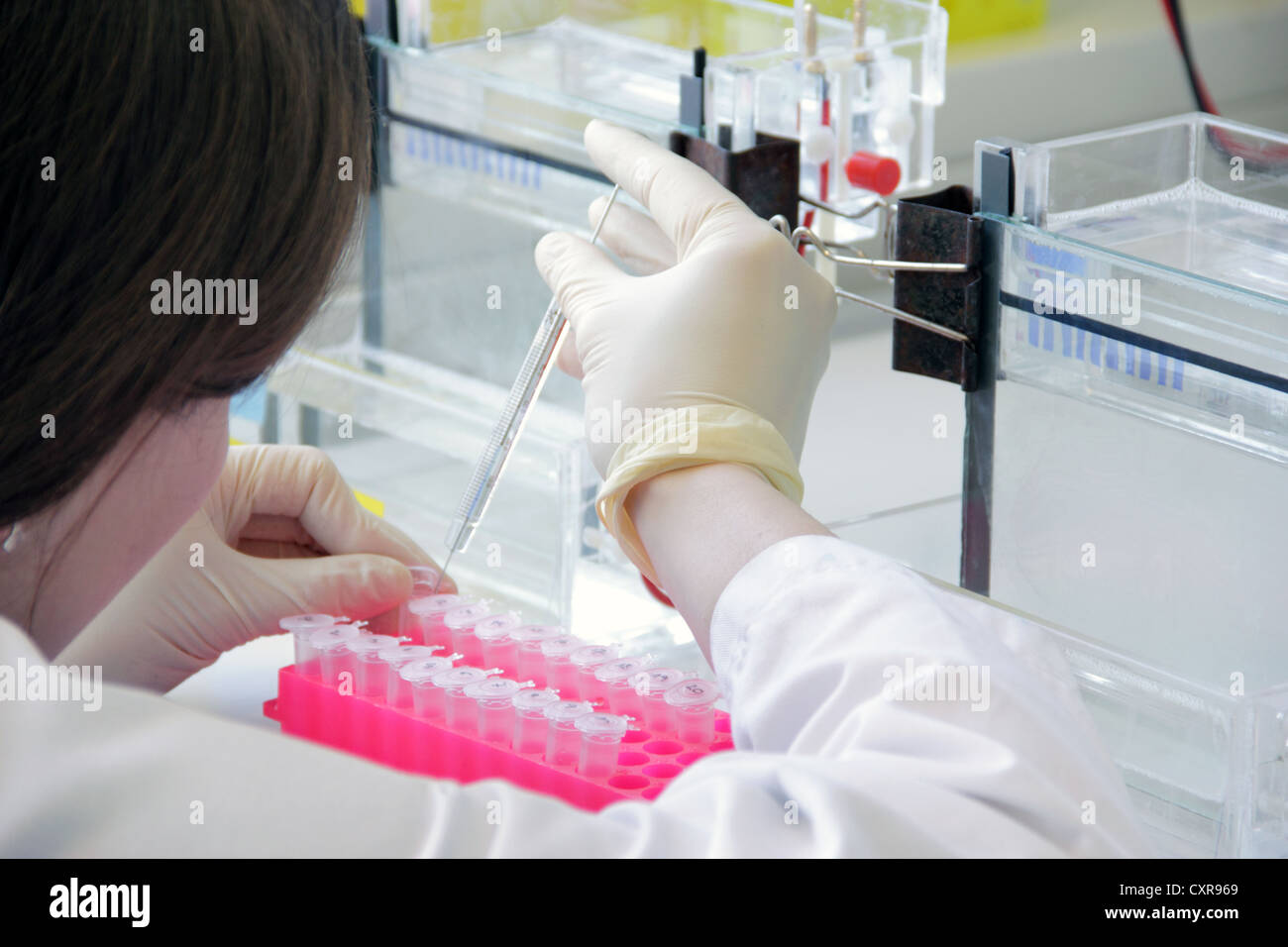 Scientist Laboratory High Resolution Stock Photography and Images - Alamy