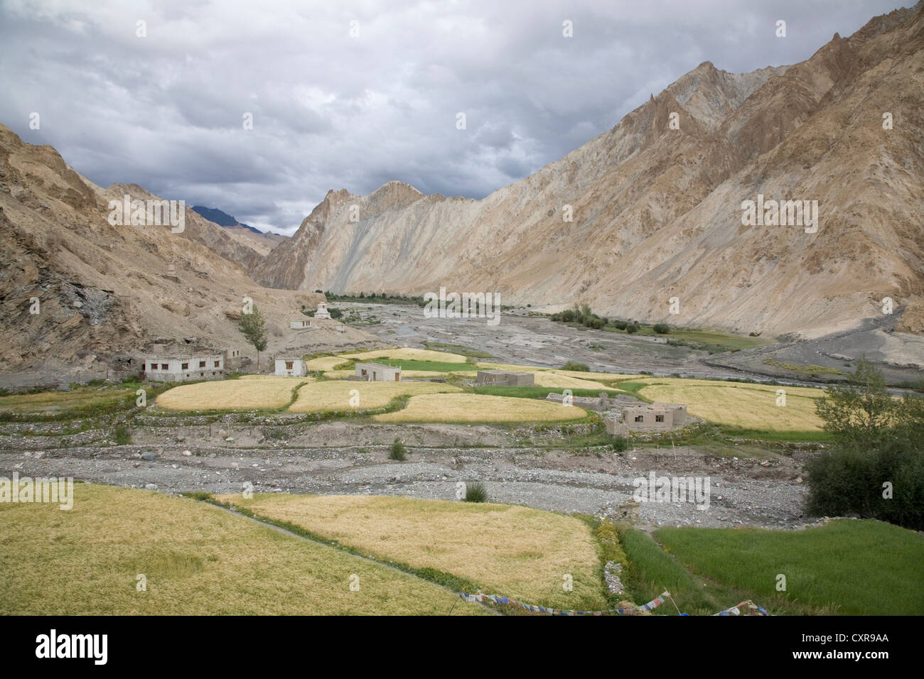 Markha Valley, Ladakh, India Stock Photo - Alamy
