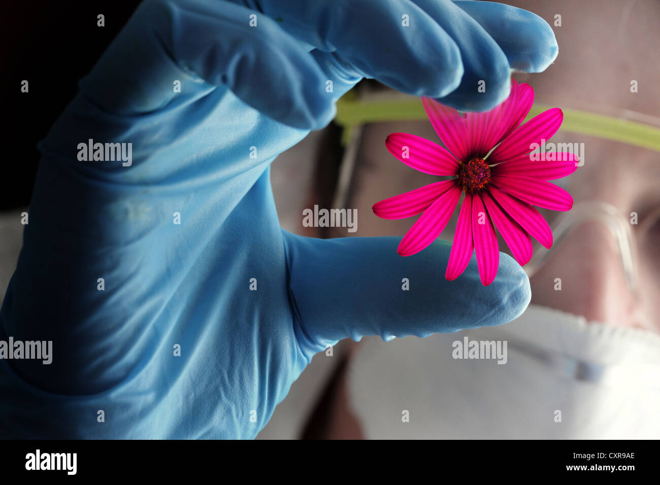 Scientist research flower hi-res stock photography and images - Alamy