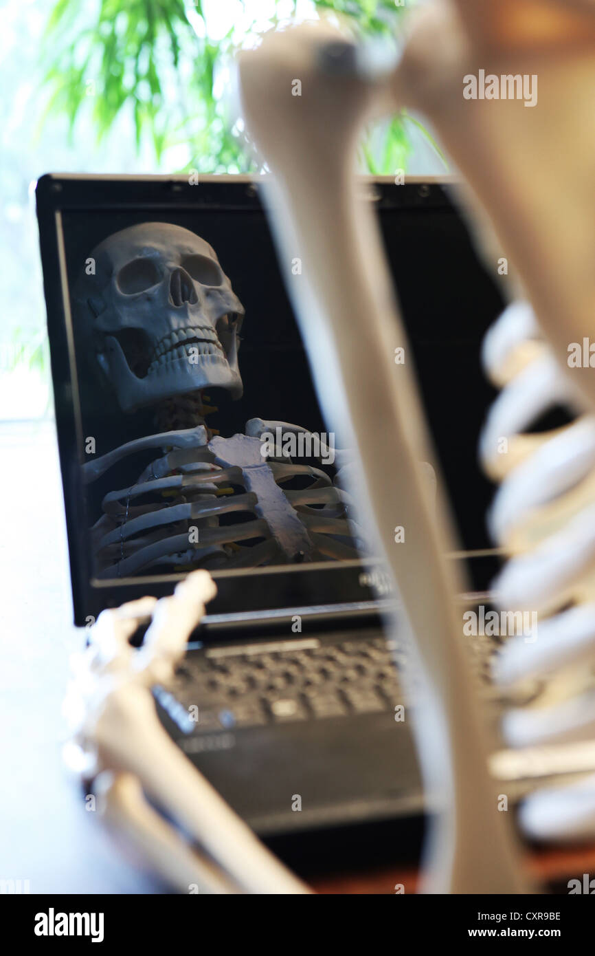 Skeleton using computer hi-res stock photography and images - Alamy