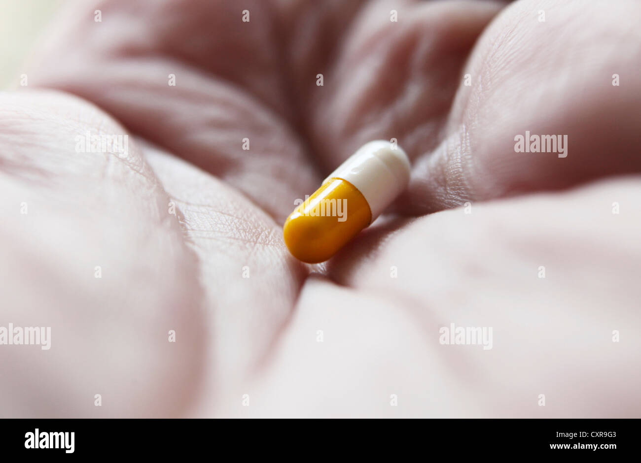 Internal capsule hi-res stock photography and images - Alamy