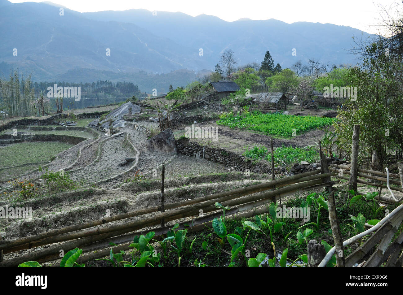 Countryside of vietnam hi-res stock photography and images - Alamy