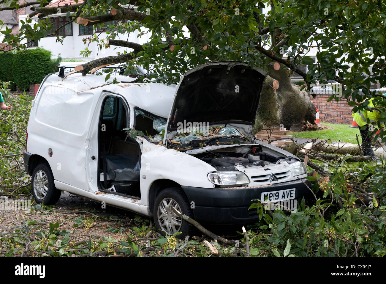 Van crushed tree hi-res stock photography and images - Alamy