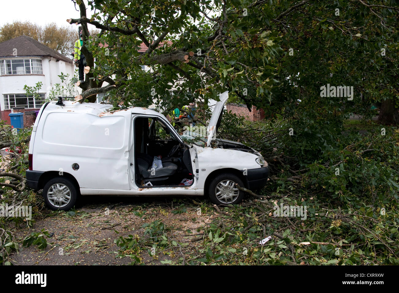 White Van Crushed by falling tree in high winds Stock Photo - Alamy