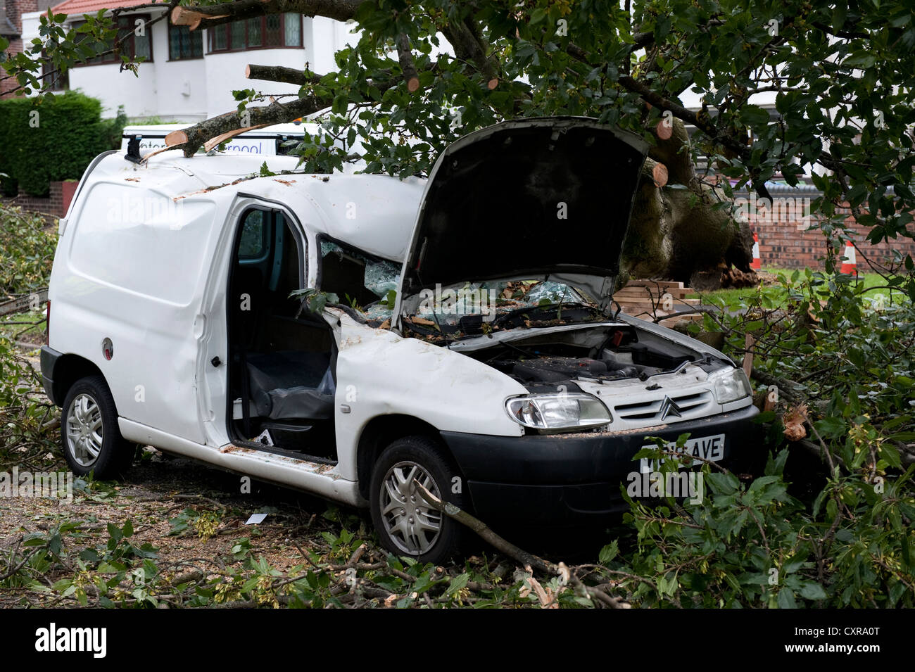 White Van Crushed by falling tree in high winds Stock Photo - Alamy