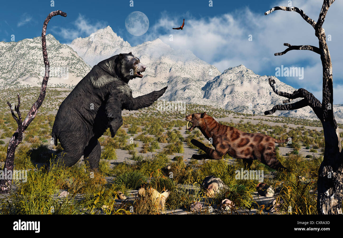 Short Faced Bear Vs Smilodon