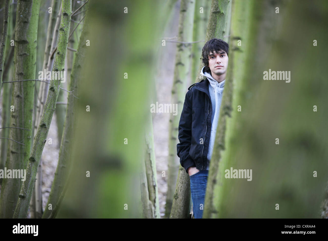 Youth standing in a forest Stock Photo - Alamy