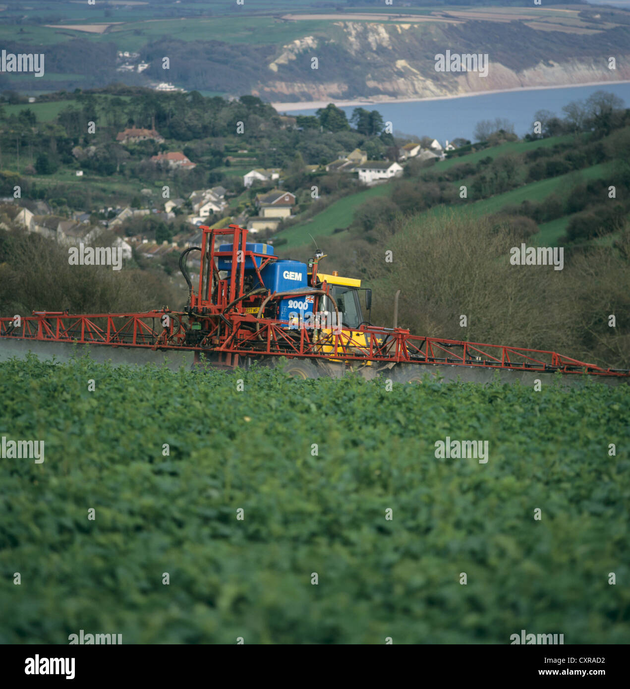 JCB Fastrac tractor with mounted Gem sprayer spraying oilseed rape over ...
