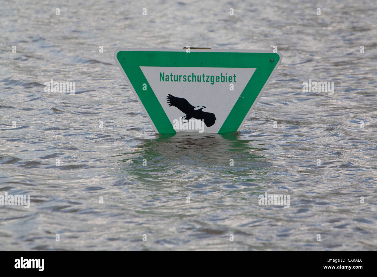 Flooding of the Rhine River, sign labelled Naturschuetzgebiet, German ...