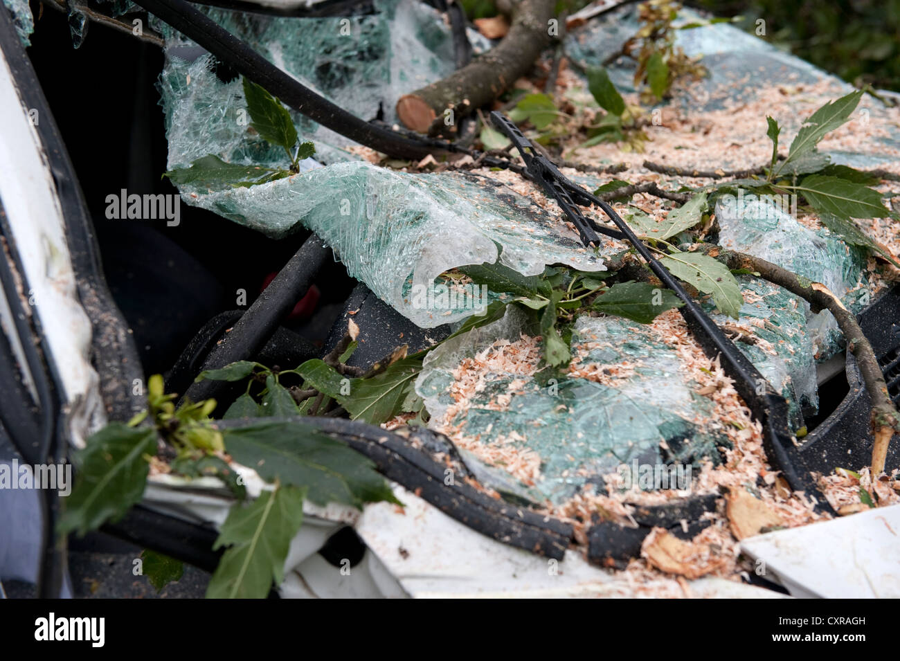 Van crushed tree hi-res stock photography and images - Alamy