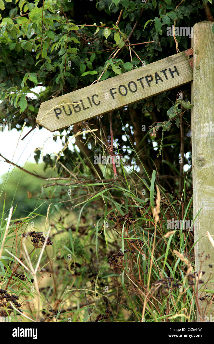 An old & rotting wooden Public Footpath sign set alongside a hedgerow ...