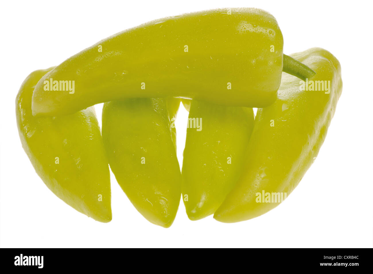 pepper on white background Stock Photo - Alamy