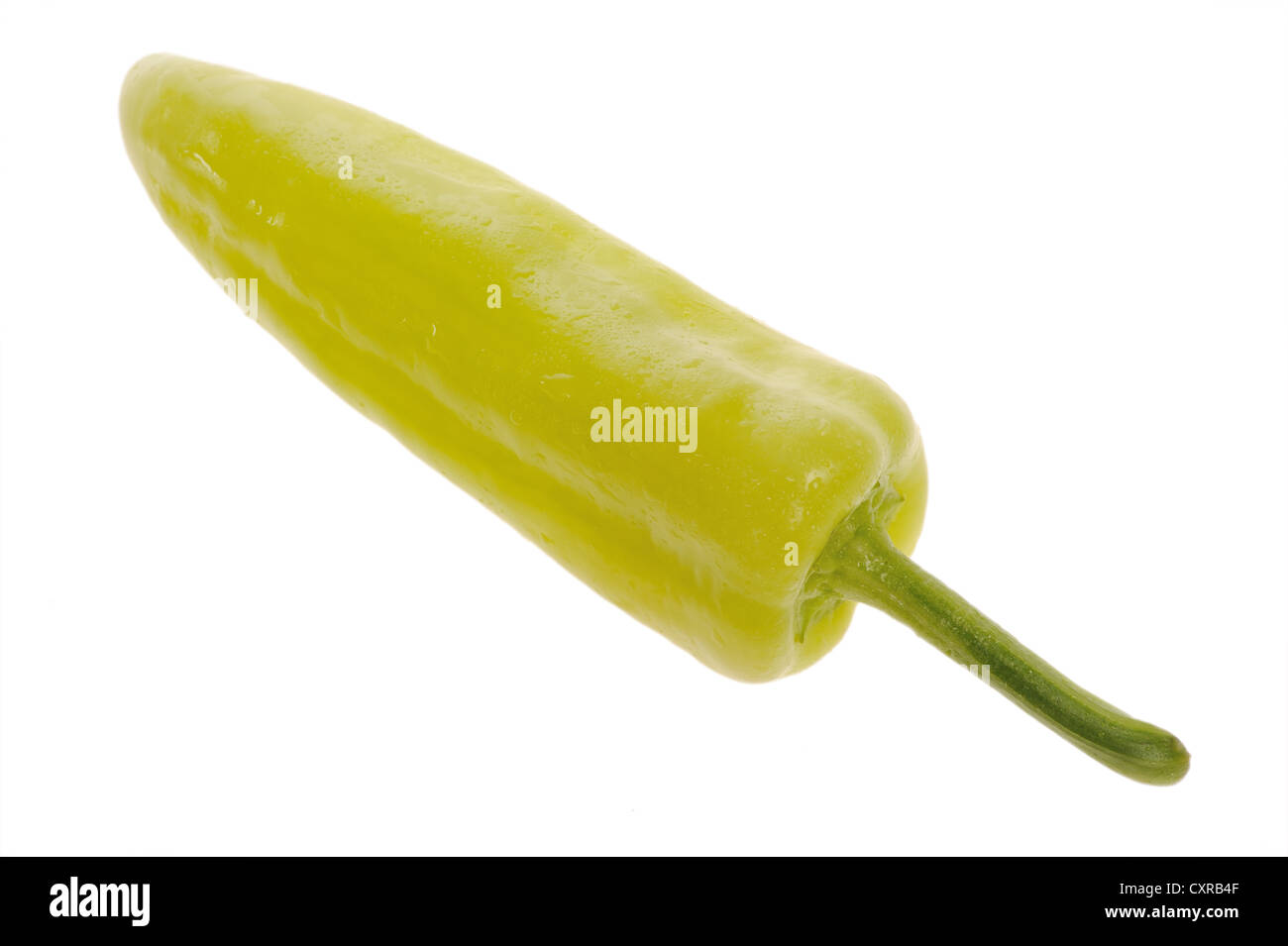 pepper on white background Stock Photo - Alamy