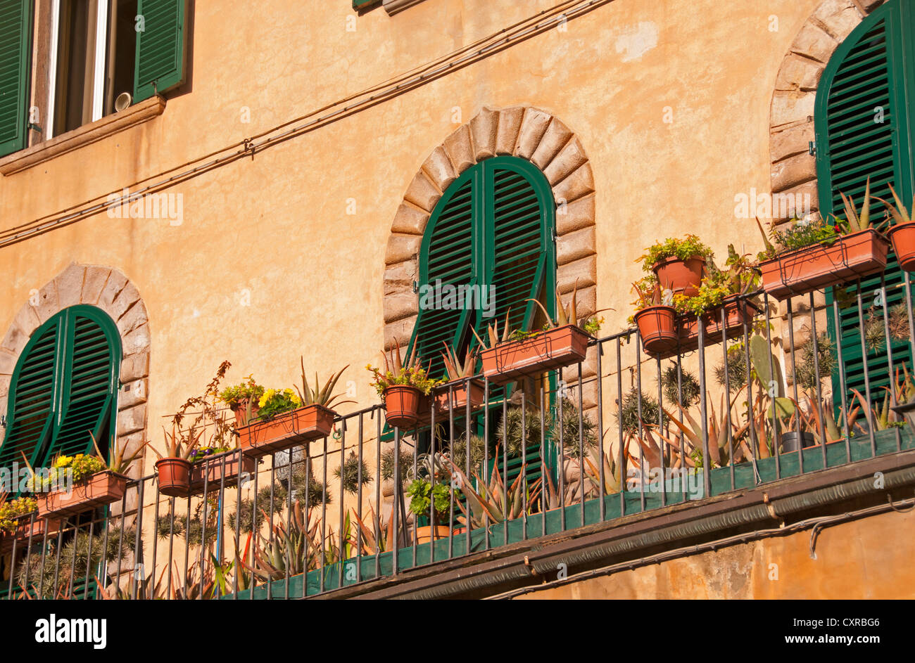 Window display in Piazza del Giglio, Lucca, Tuscany, Italy Stock Photo ...